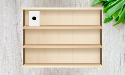 Daumenkino Autor - Lisa Shih